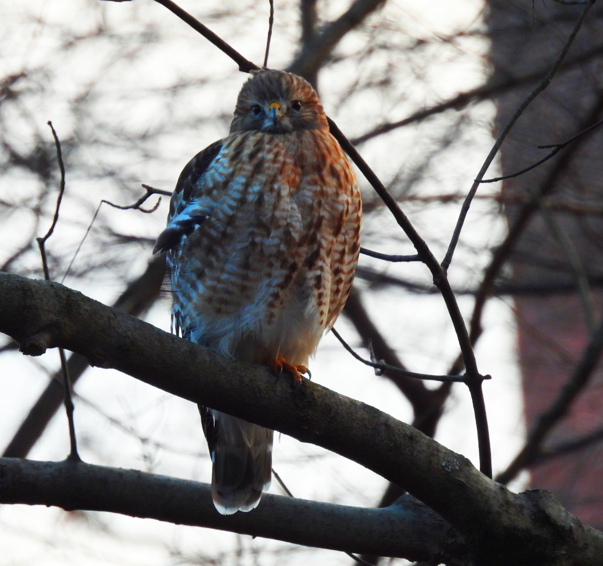 Welcome! – A Parallel World